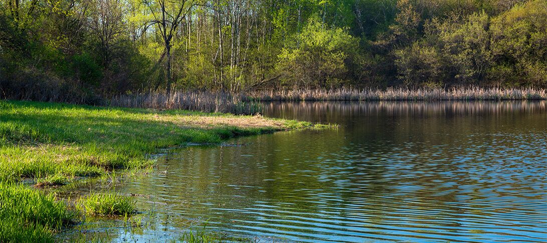 Pond Maintenance, Fountains, Mapping & Fisheries Services